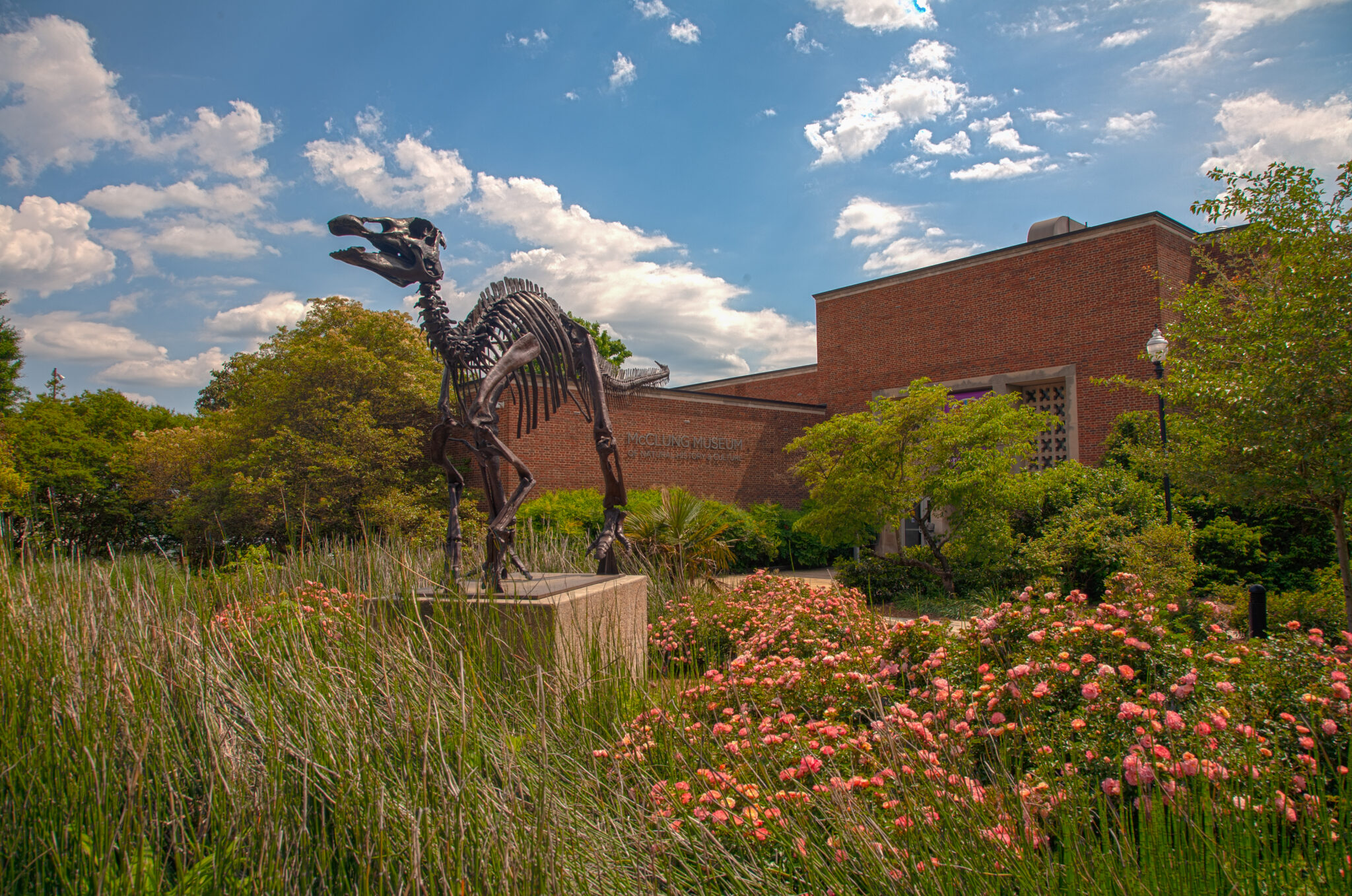 Front Page - Association of Academic Museums and Galleries